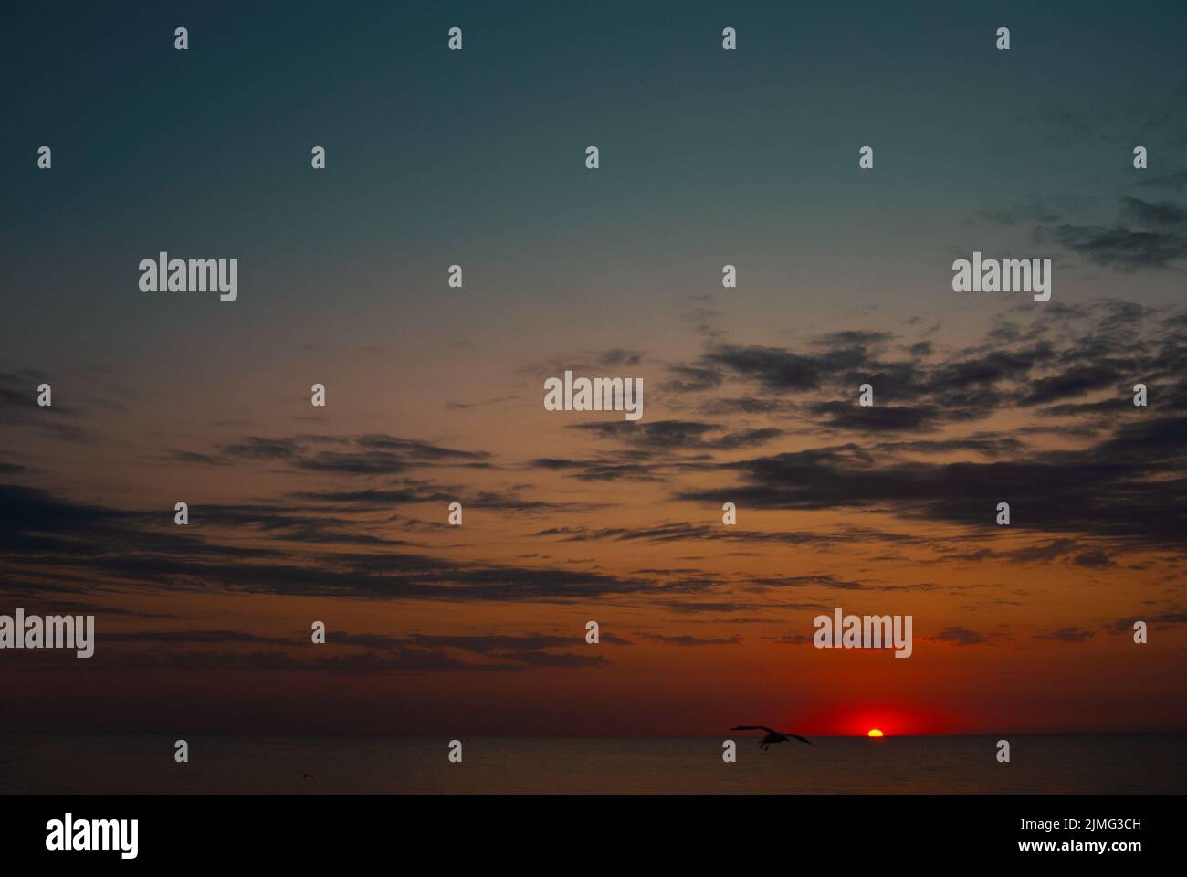Sunset over calm sea waters with seagull silhouette on cloudy sky ...