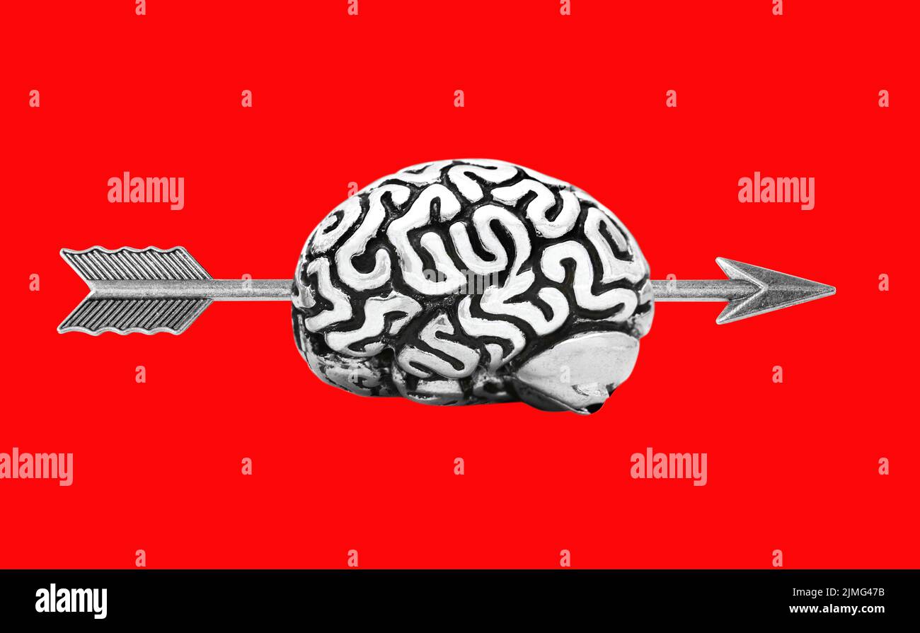 Feathered steel arrow passed through a human brain isolated on red ...