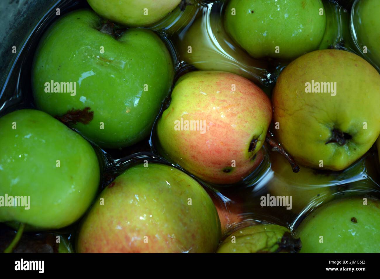 Vegetable float hi-res stock photography and images - Alamy