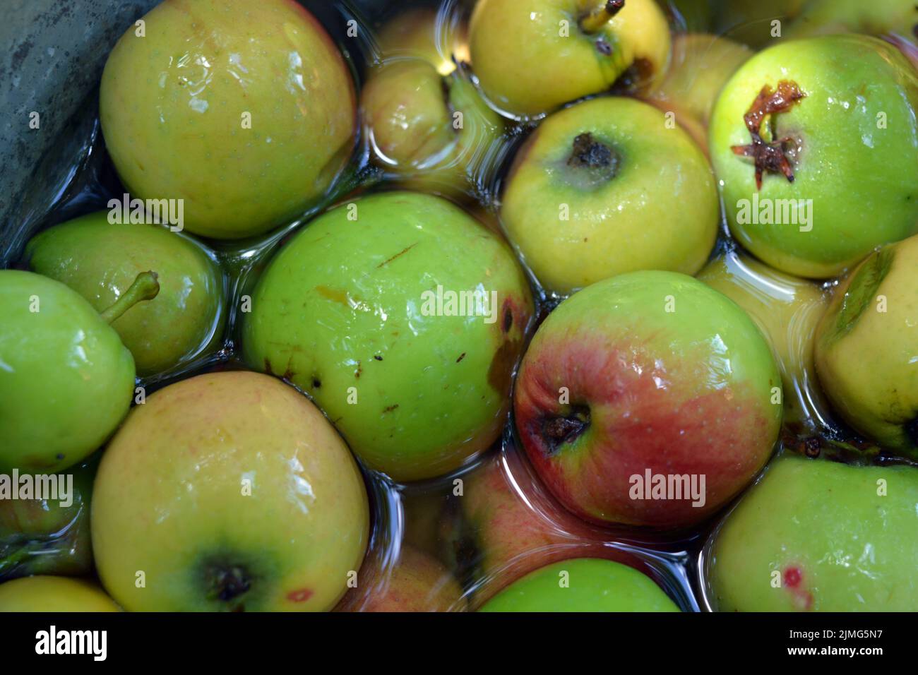 The first juicy small green apples with red, yellow, dark spots float ...