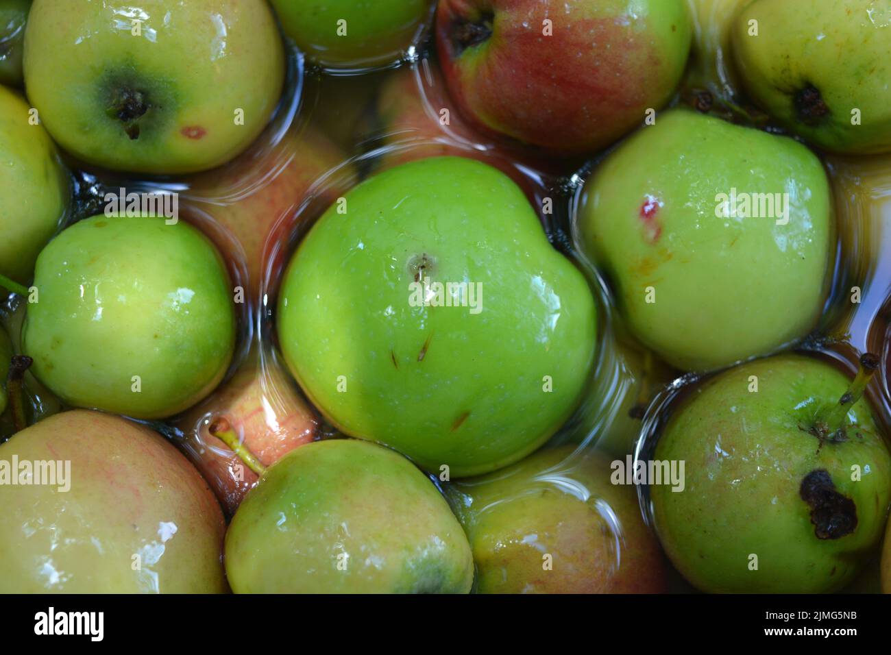 The first juicy small green apples with red, yellow, dark spots float ...