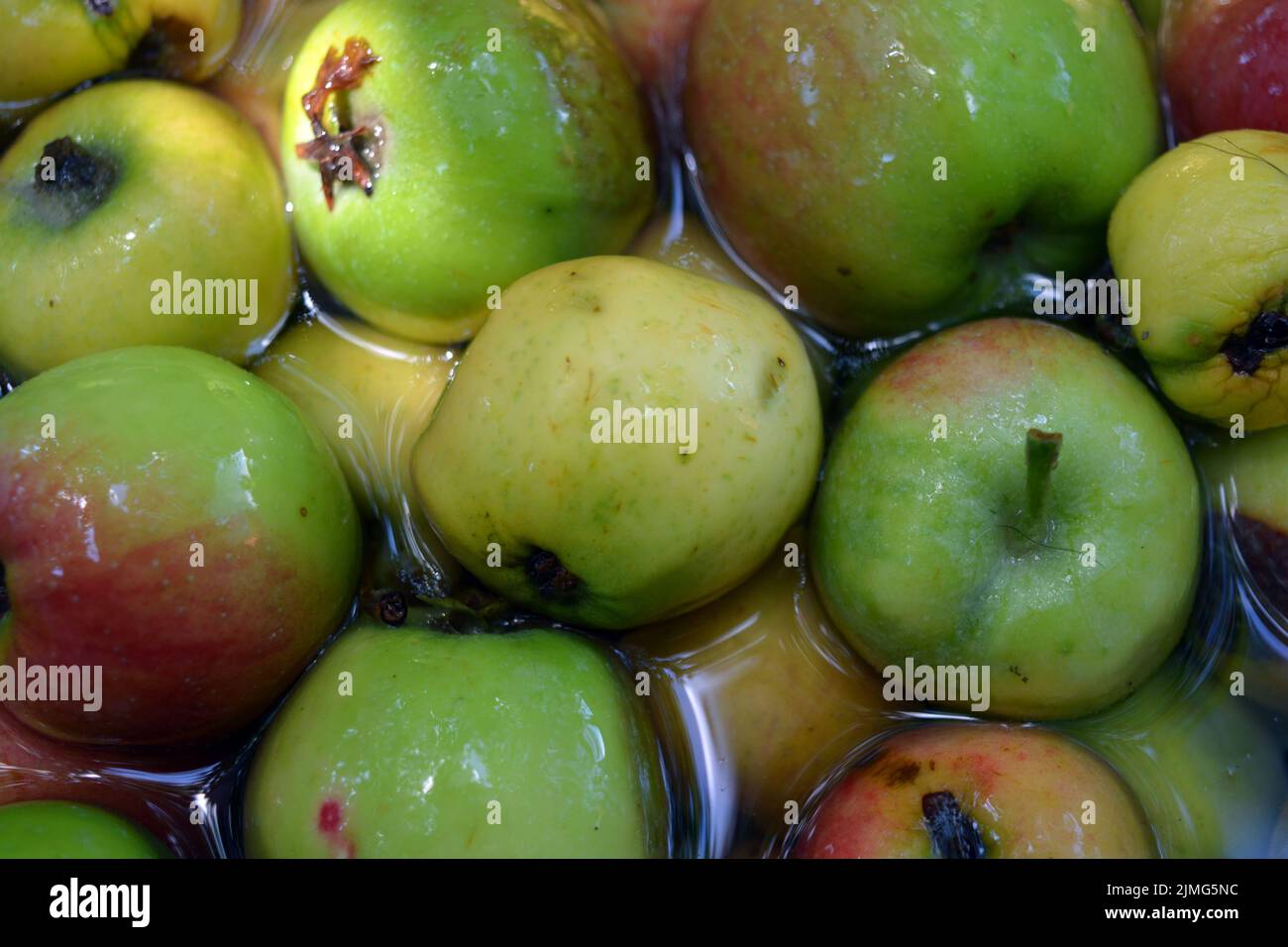 The first juicy small green apples with red, yellow, dark spots float ...