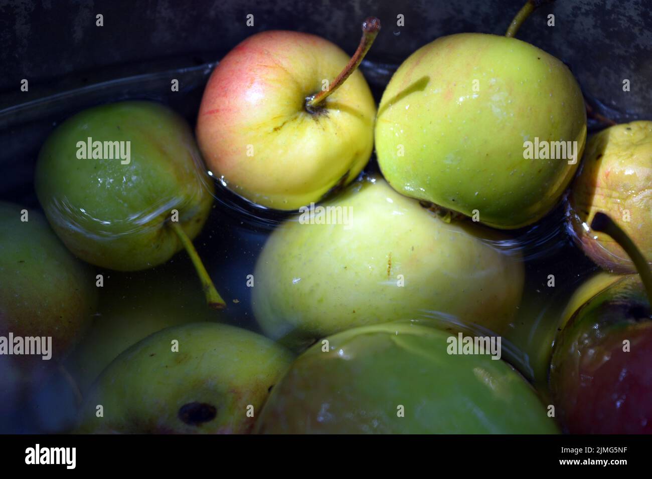 The first juicy small green apples with red, yellow, dark spots float ...