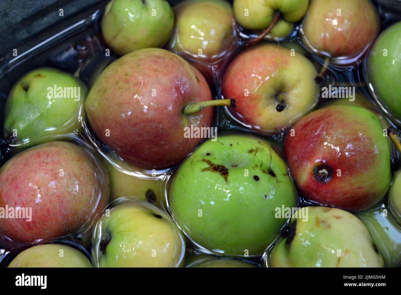 The first juicy small green apples with red, yellow, dark spots float ...