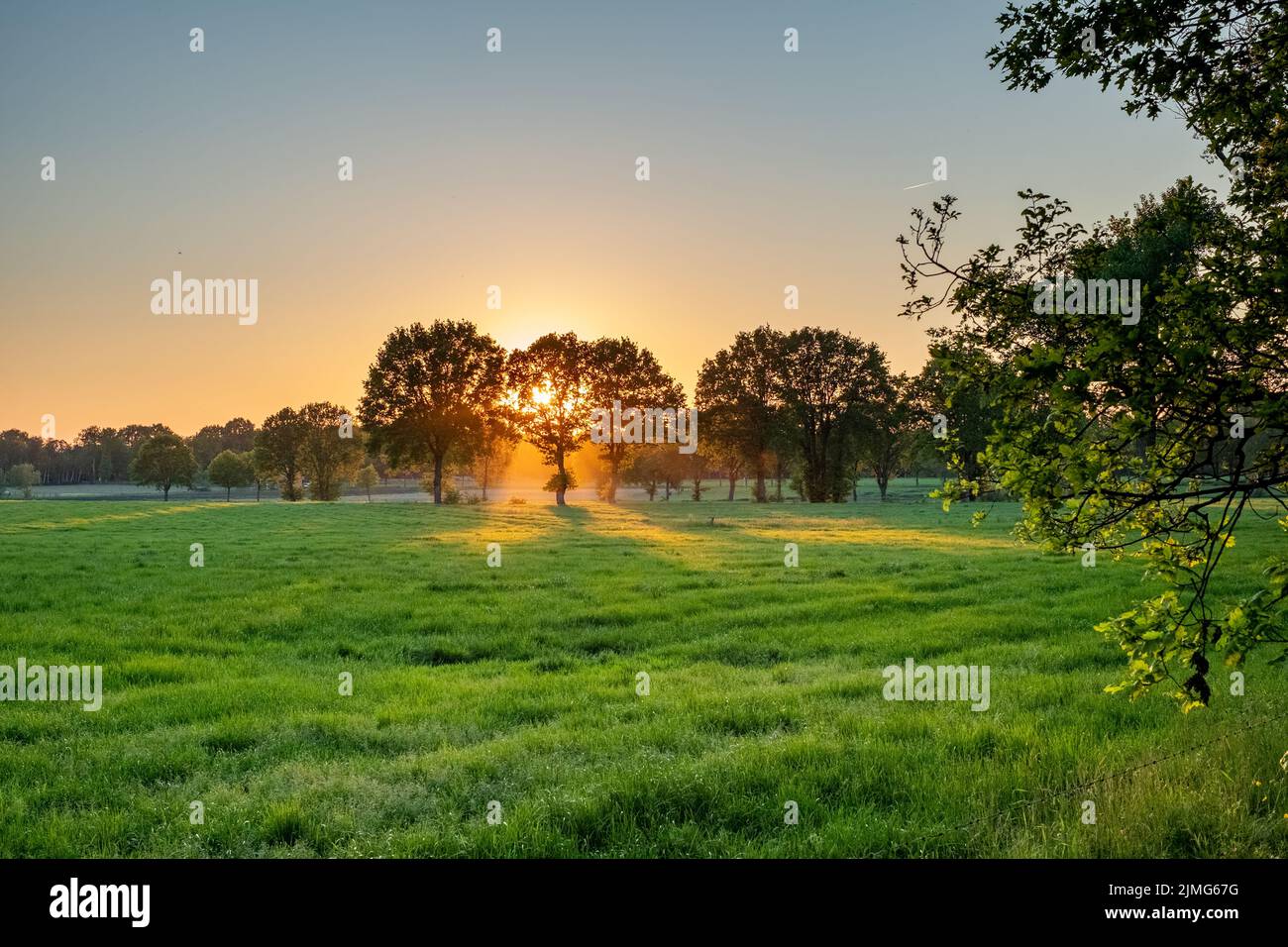Sky garden sunset view hi-res stock photography and images - Alamy