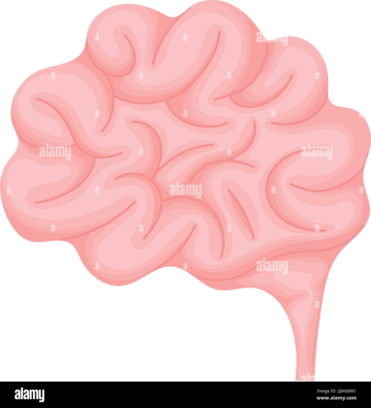colored brain illustration Stock Vector Image & Art - Alamy