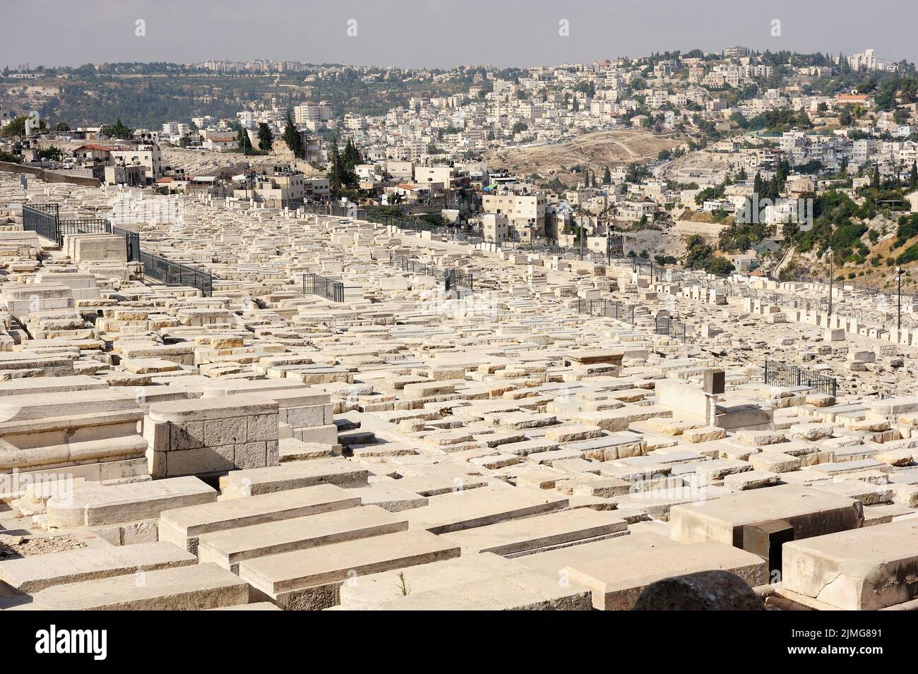 Jerusalem valley trees hi-res stock photography and images - Alamy