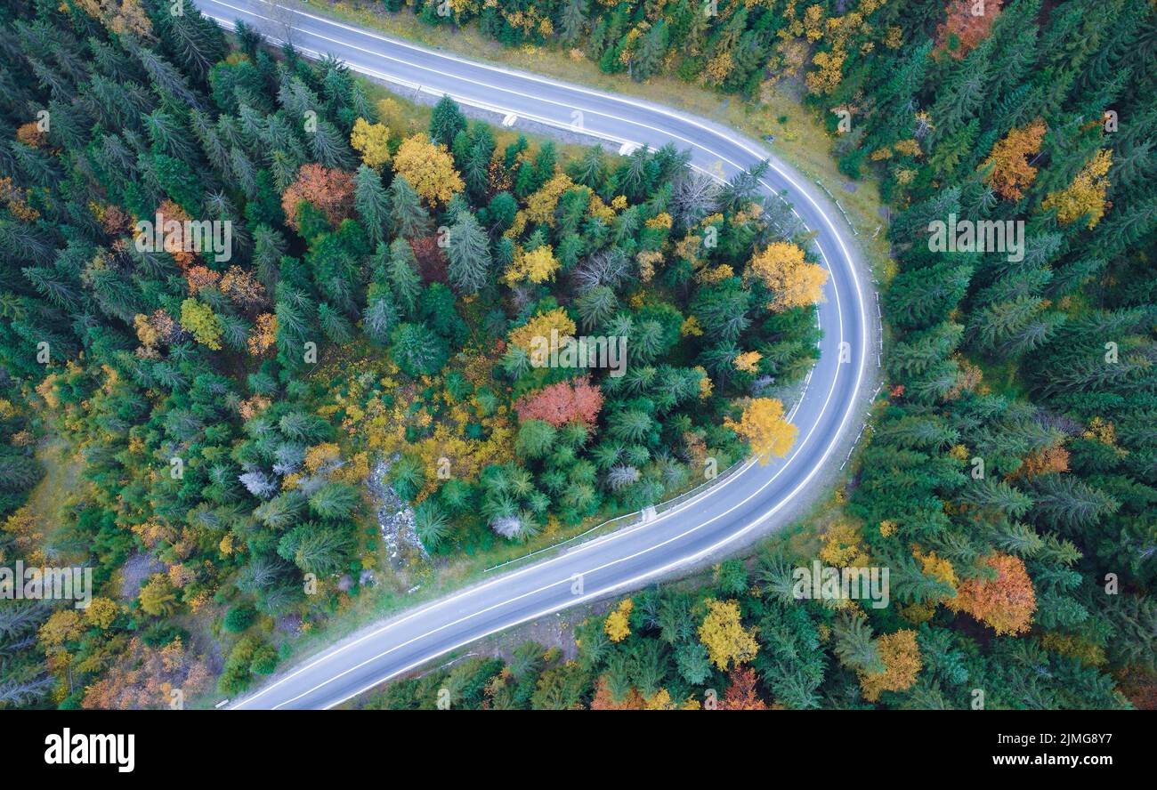 Highway through pine tree forest hi-res stock photography and images ...