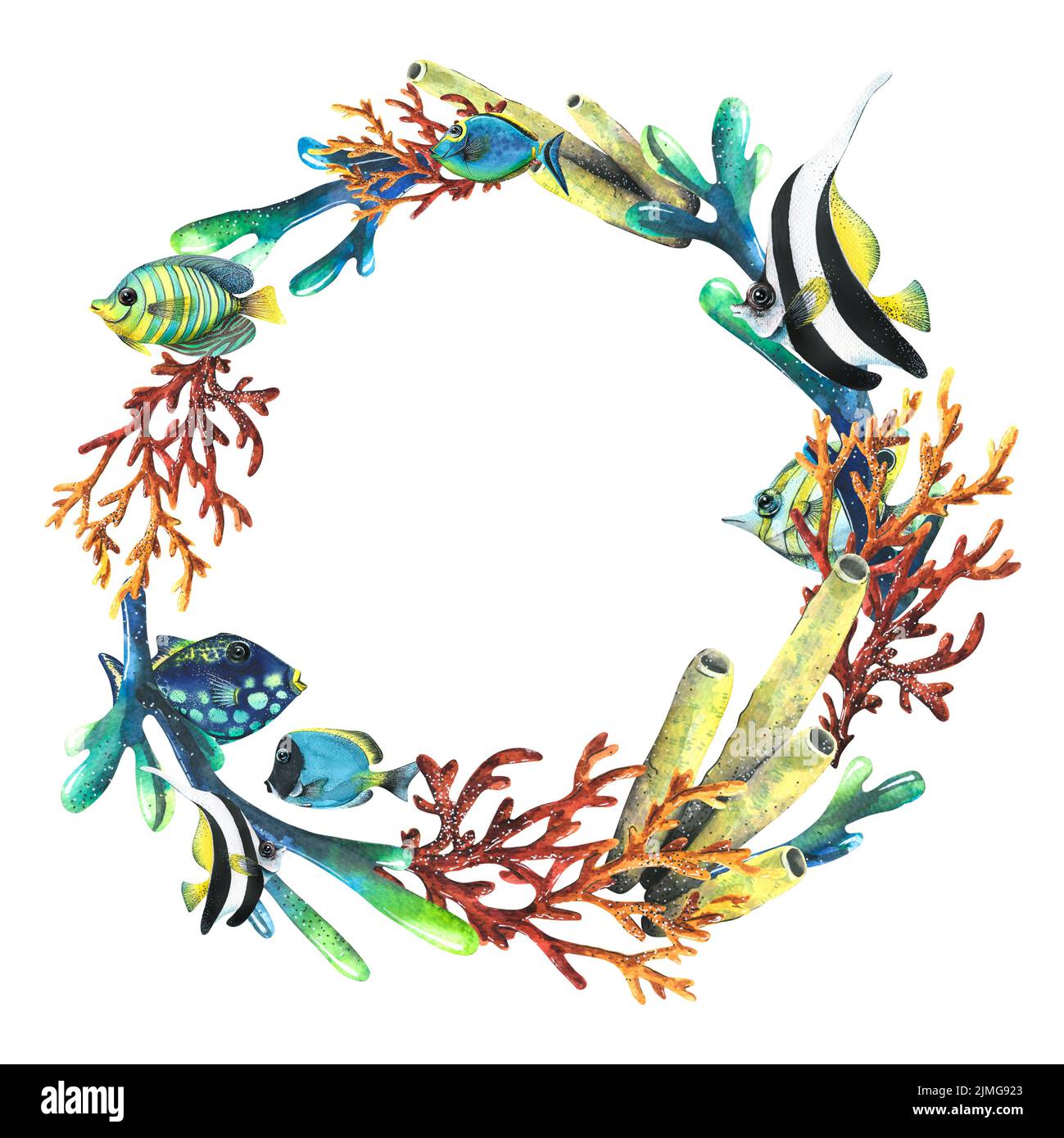 Colorful corals tropical fish coral Cut Out Stock Images & Pictures - Alamy