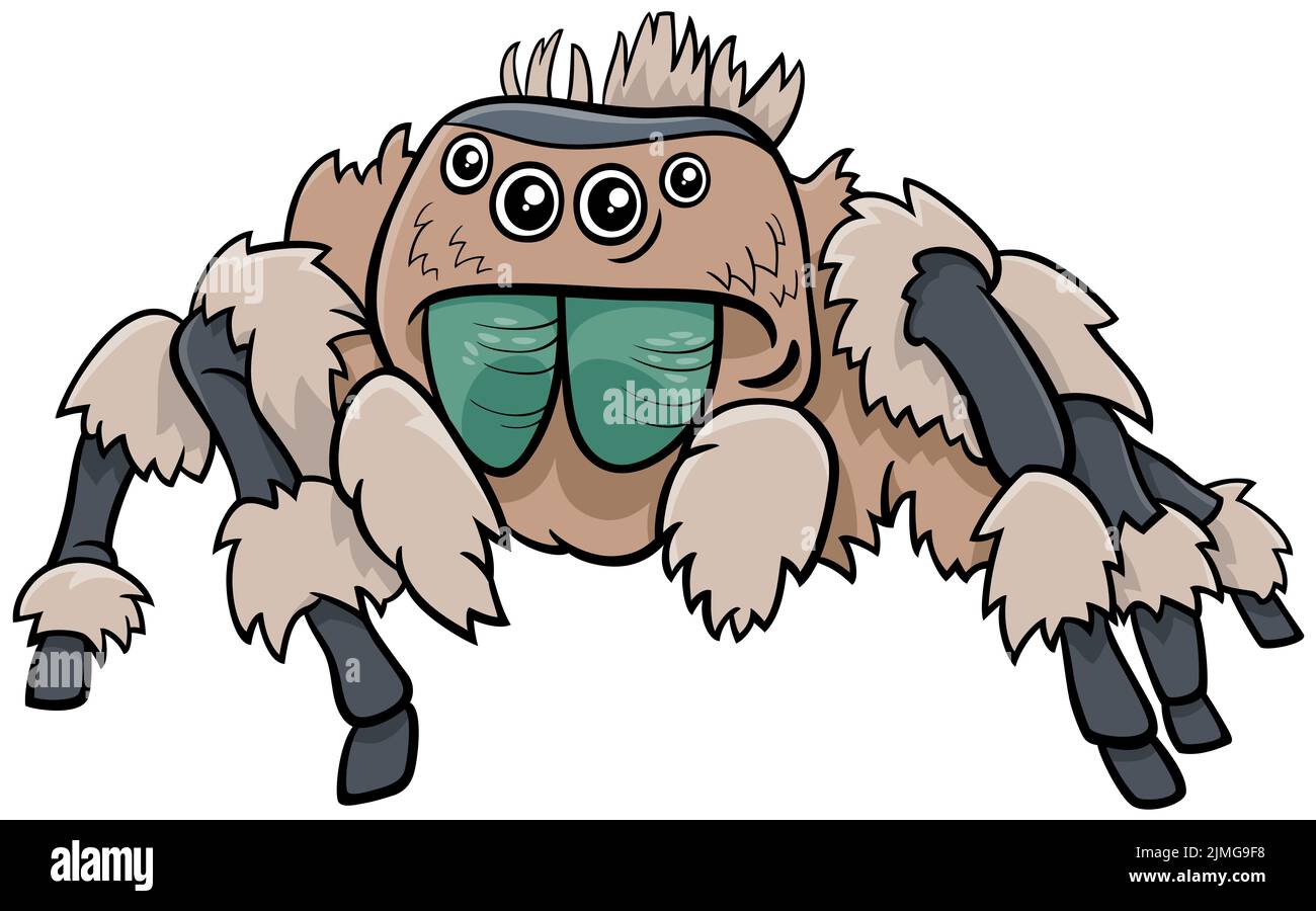 Jumping spider insect character cartoon illustration Stock Photo - Alamy