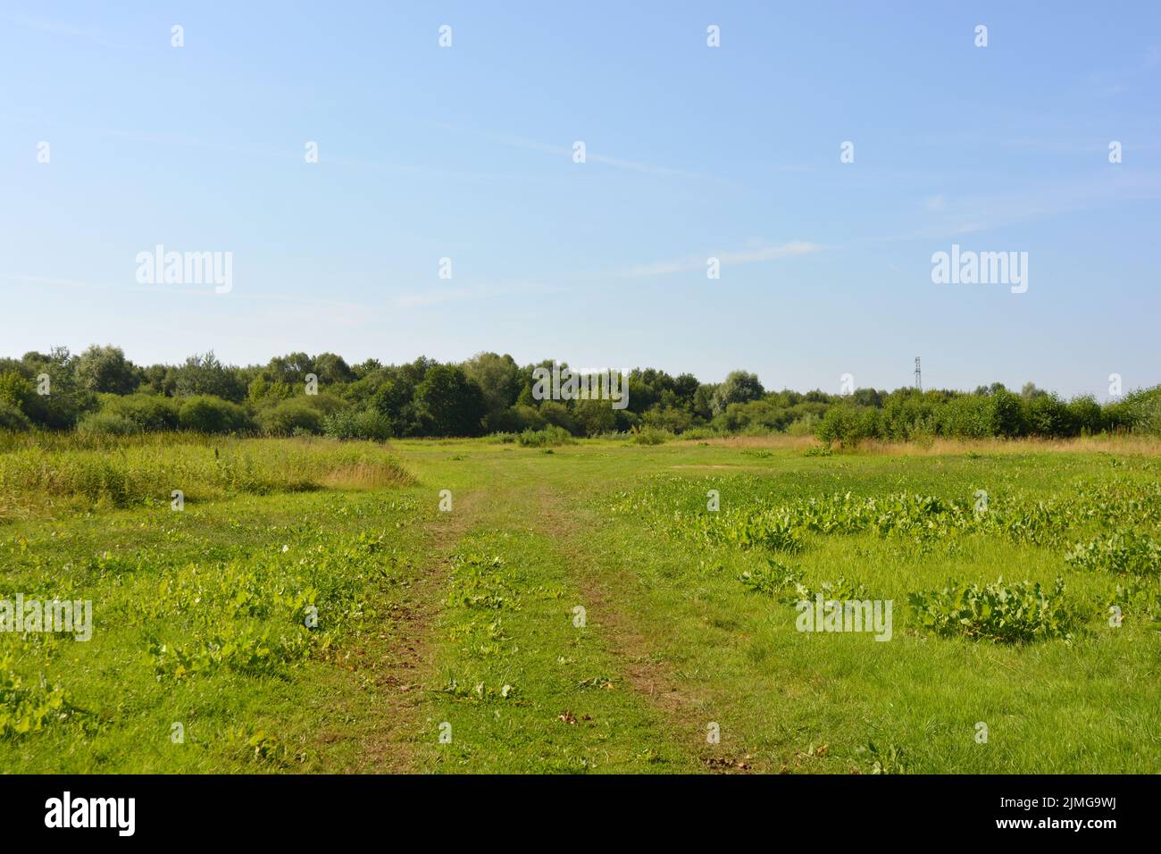 Beautiful fields, distant steppes, meadows with wild herbs, lush grass ...