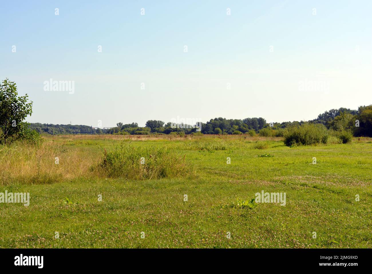 Beautiful fields, distant steppes, meadows with wild herbs, lush grass ...
