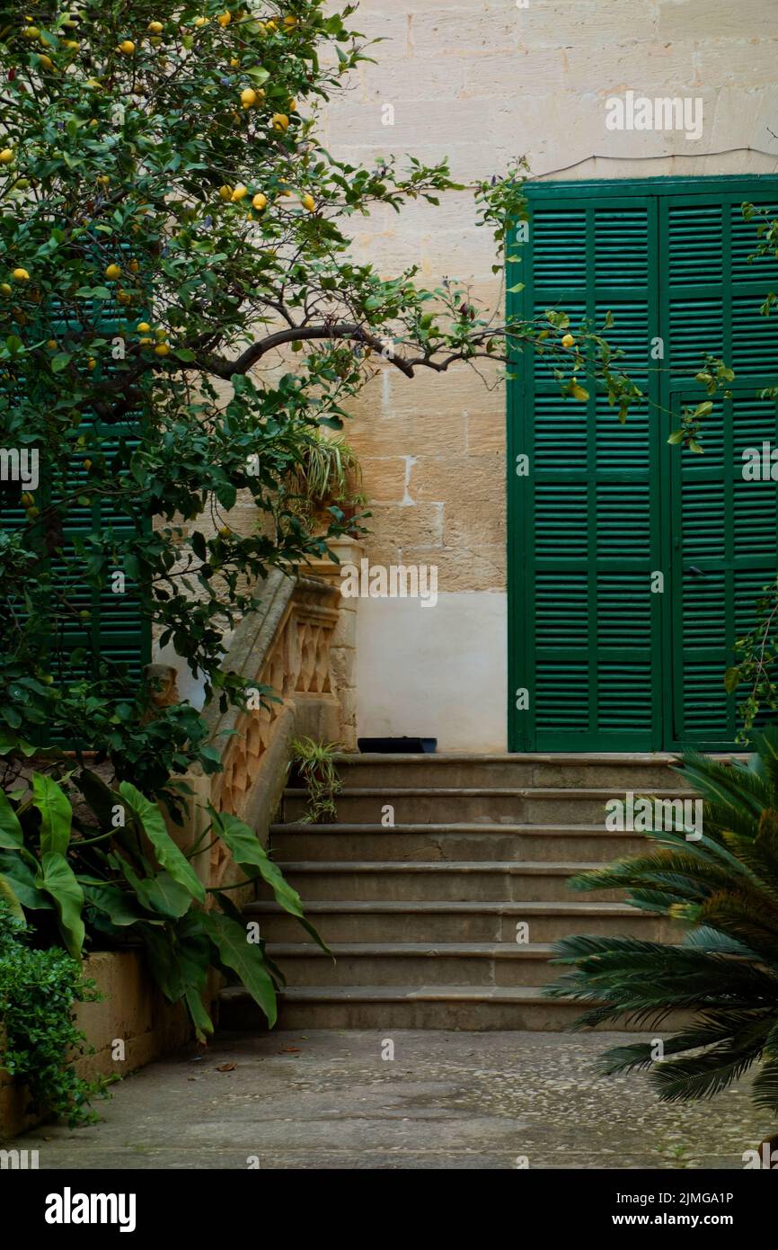A vertical shot of a building with French shutters in front of concrete ...