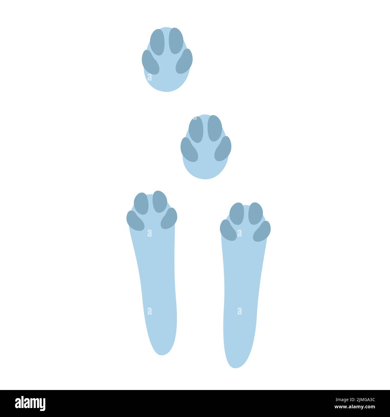 Hare footprints concept. Cute rabbit footprints. Isolated illustration ...