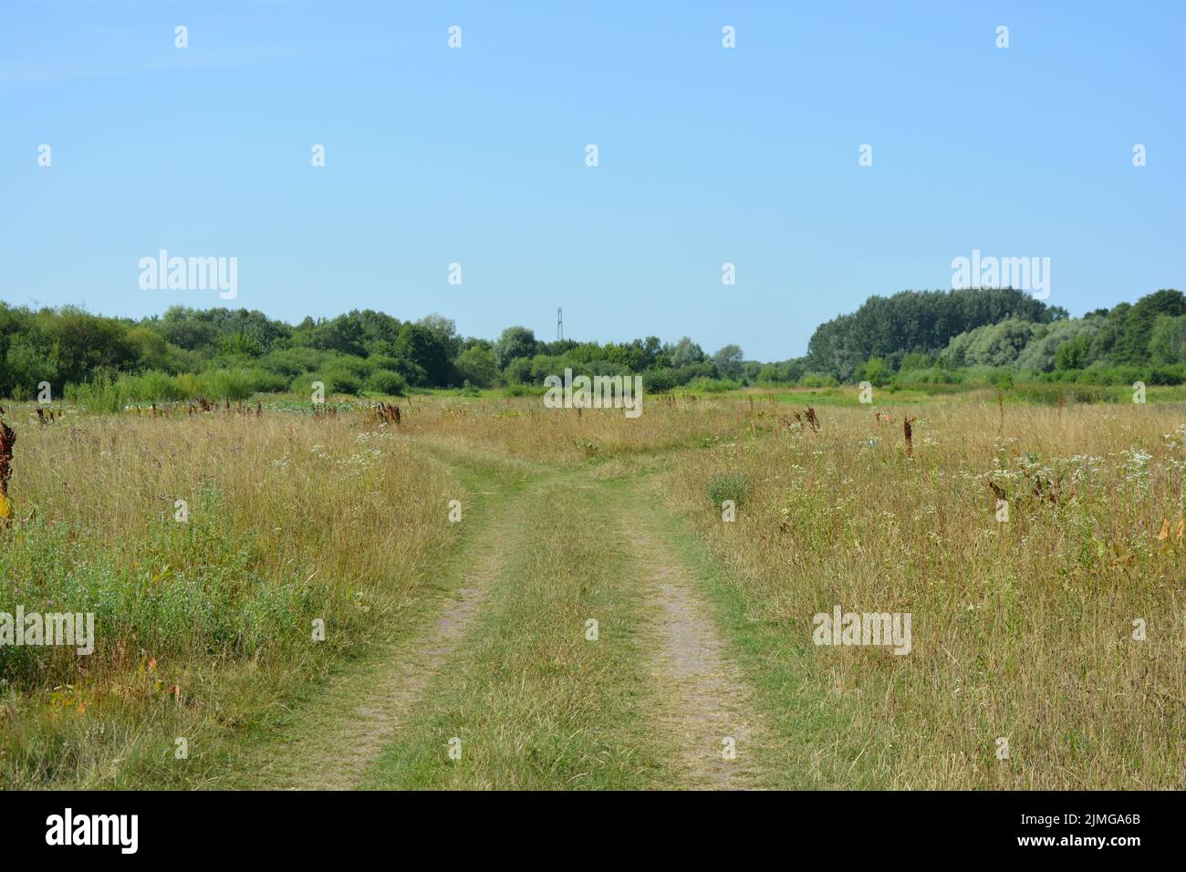 Beautiful fields, distant steppes, meadows with wild herbs, lush grass ...