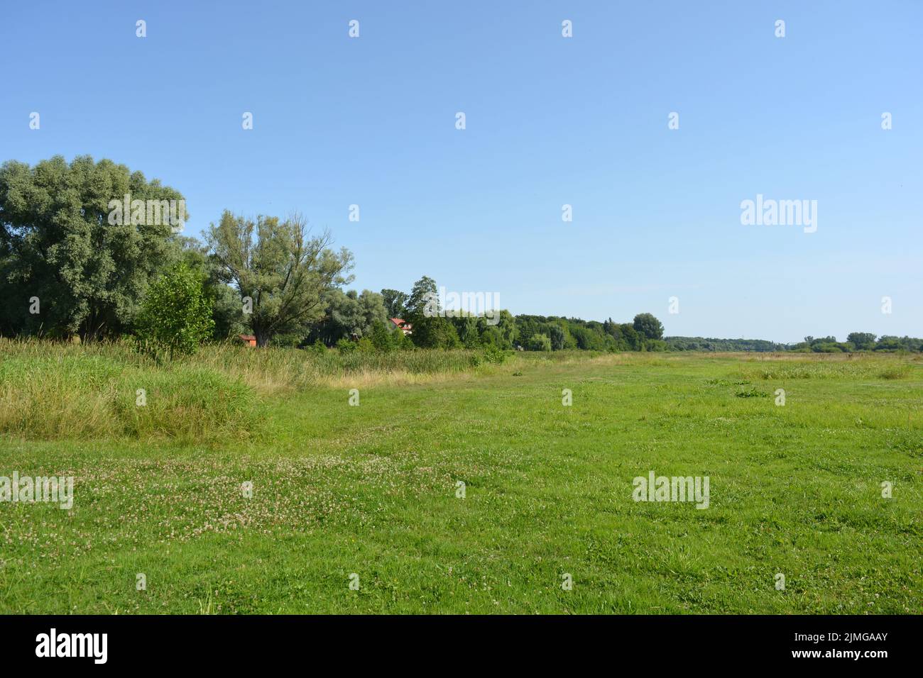 Beautiful fields, distant steppes, meadows with wild herbs, lush grass ...