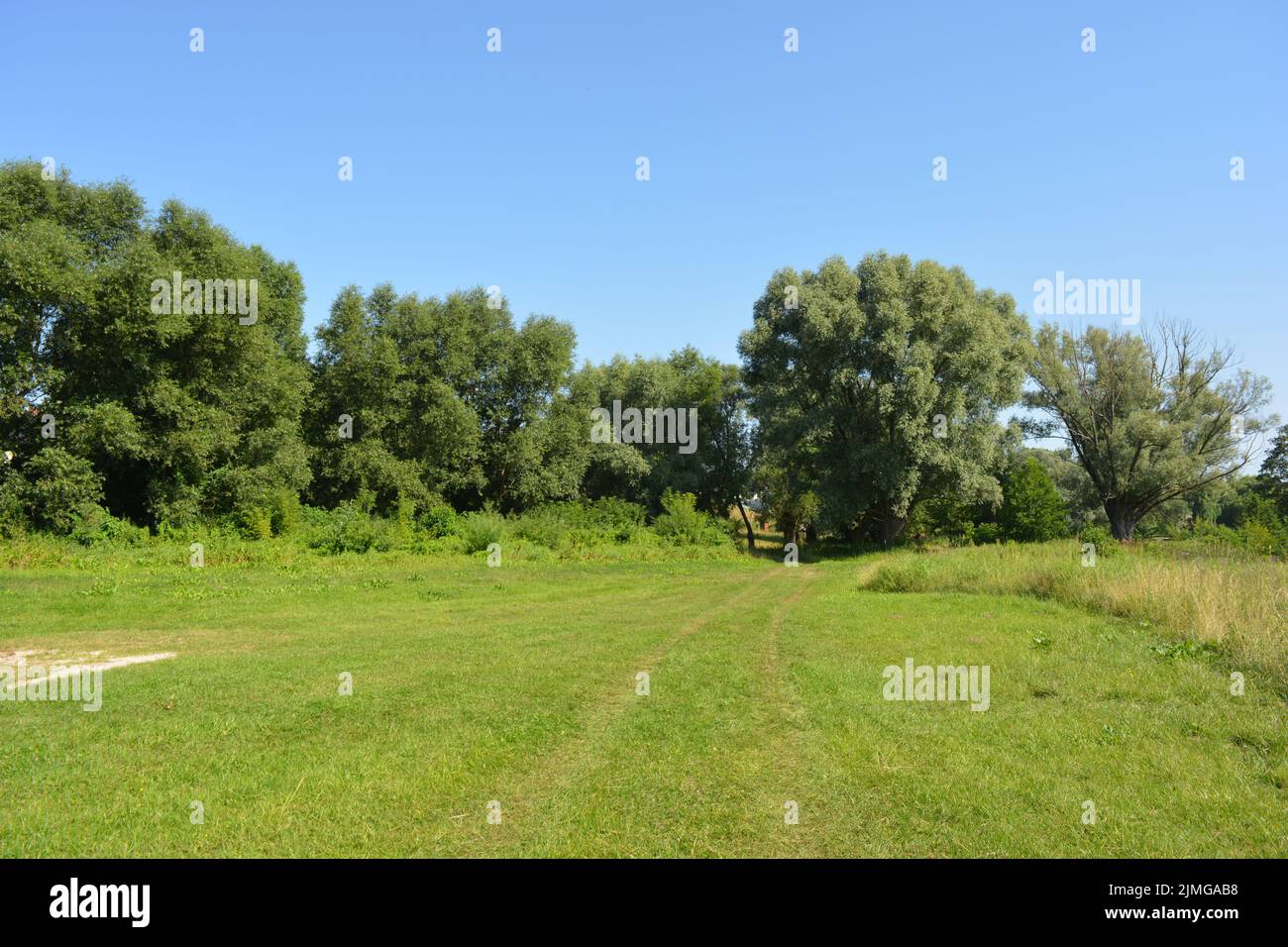 Beautiful fields, distant steppes, meadows with wild herbs, lush grass ...