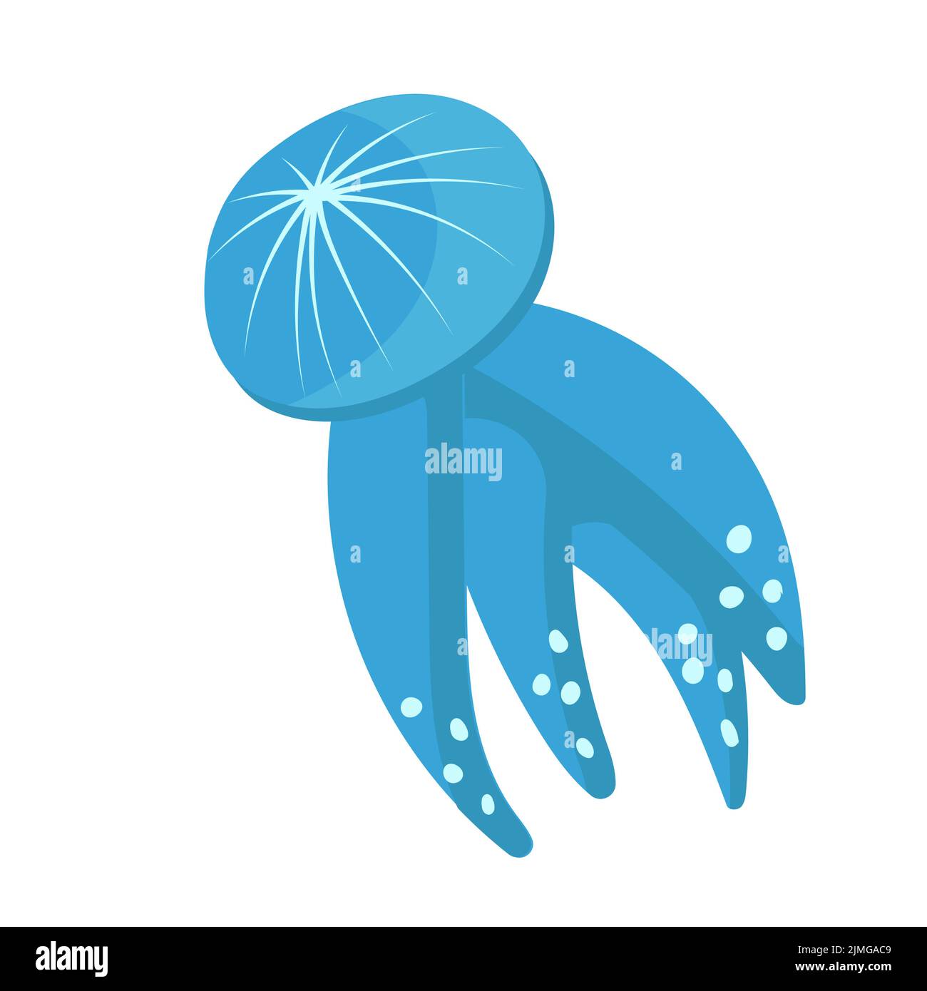 Jellyfish cartoon isolated medusa and biology jelly fish. Marine and water life animal vector ...