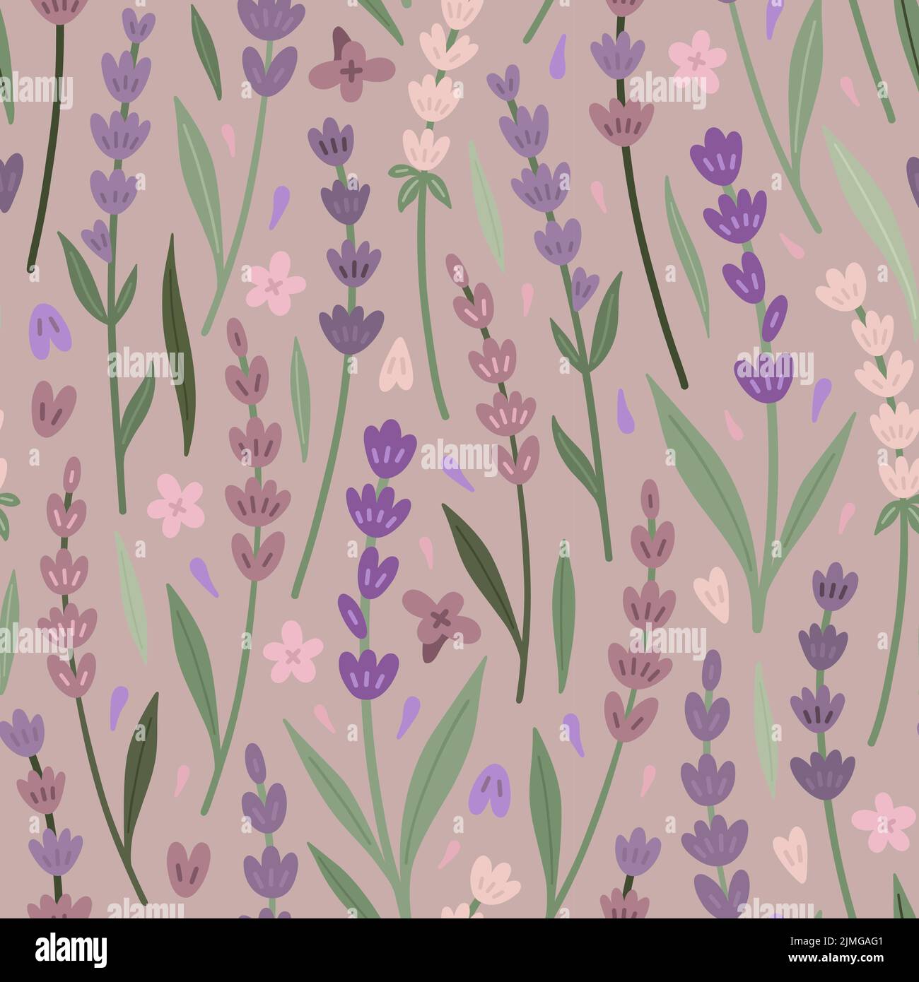 Lavender seamless pattern Stock Vector Image & Art - Alamy
