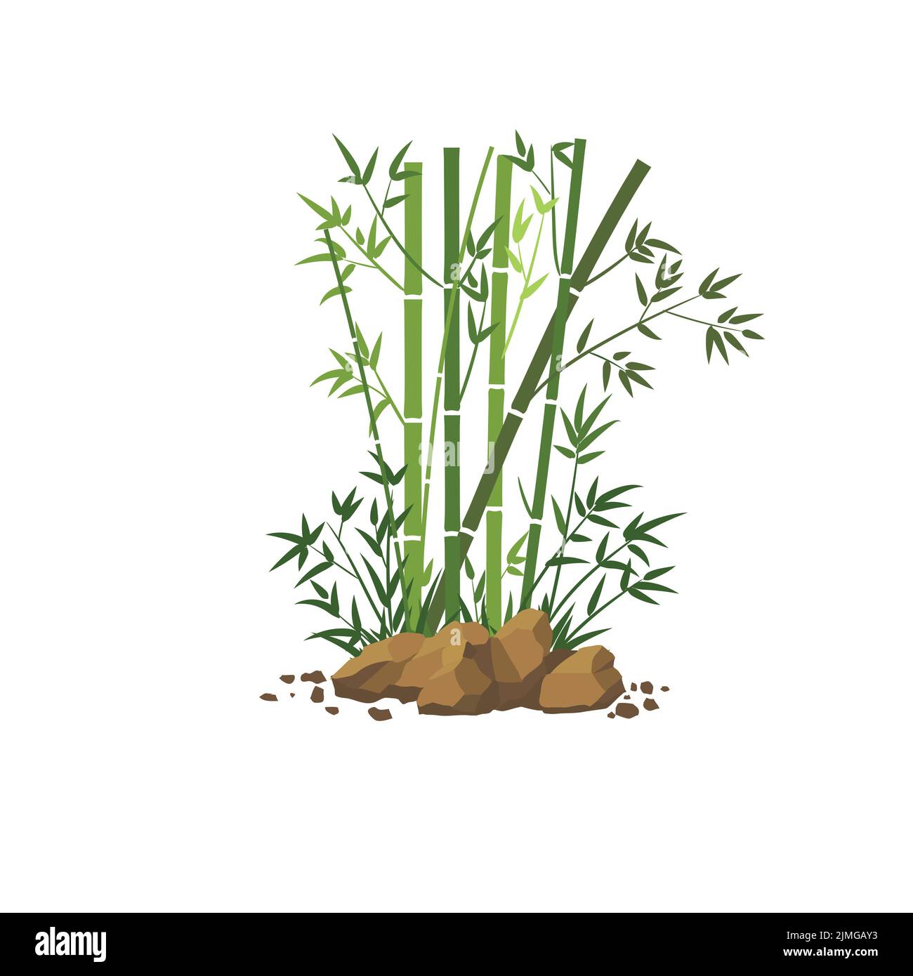 An isolated vector illustration of bamboo grass with rocks on a white ...