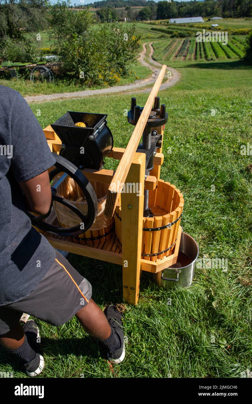 Young man operates an outdoor wooden apple cider press on a family farm ...
