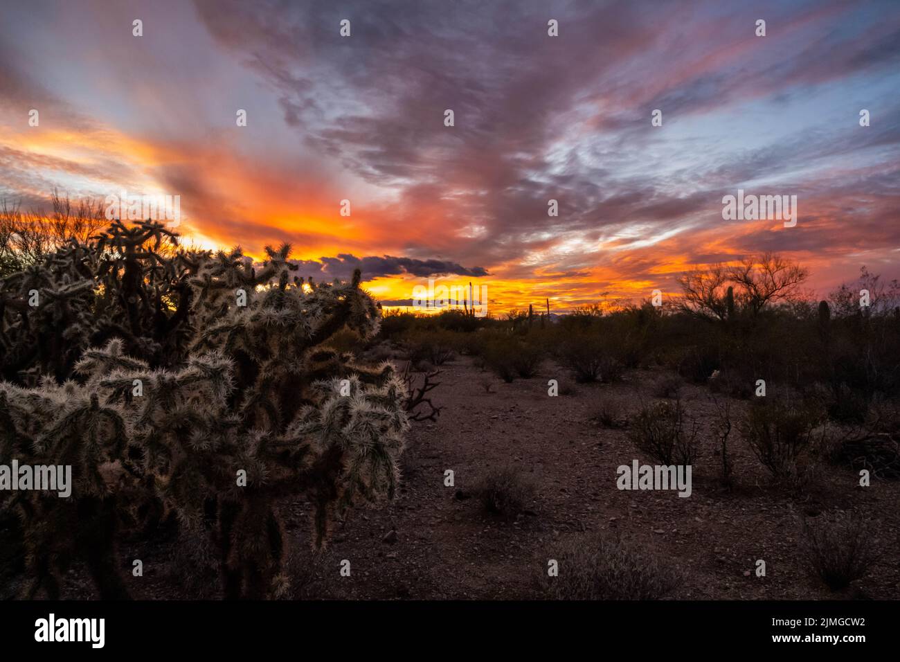 Dramatic vibrant sunset scenery in Tucson, Arizona Stock Photo - Alamy