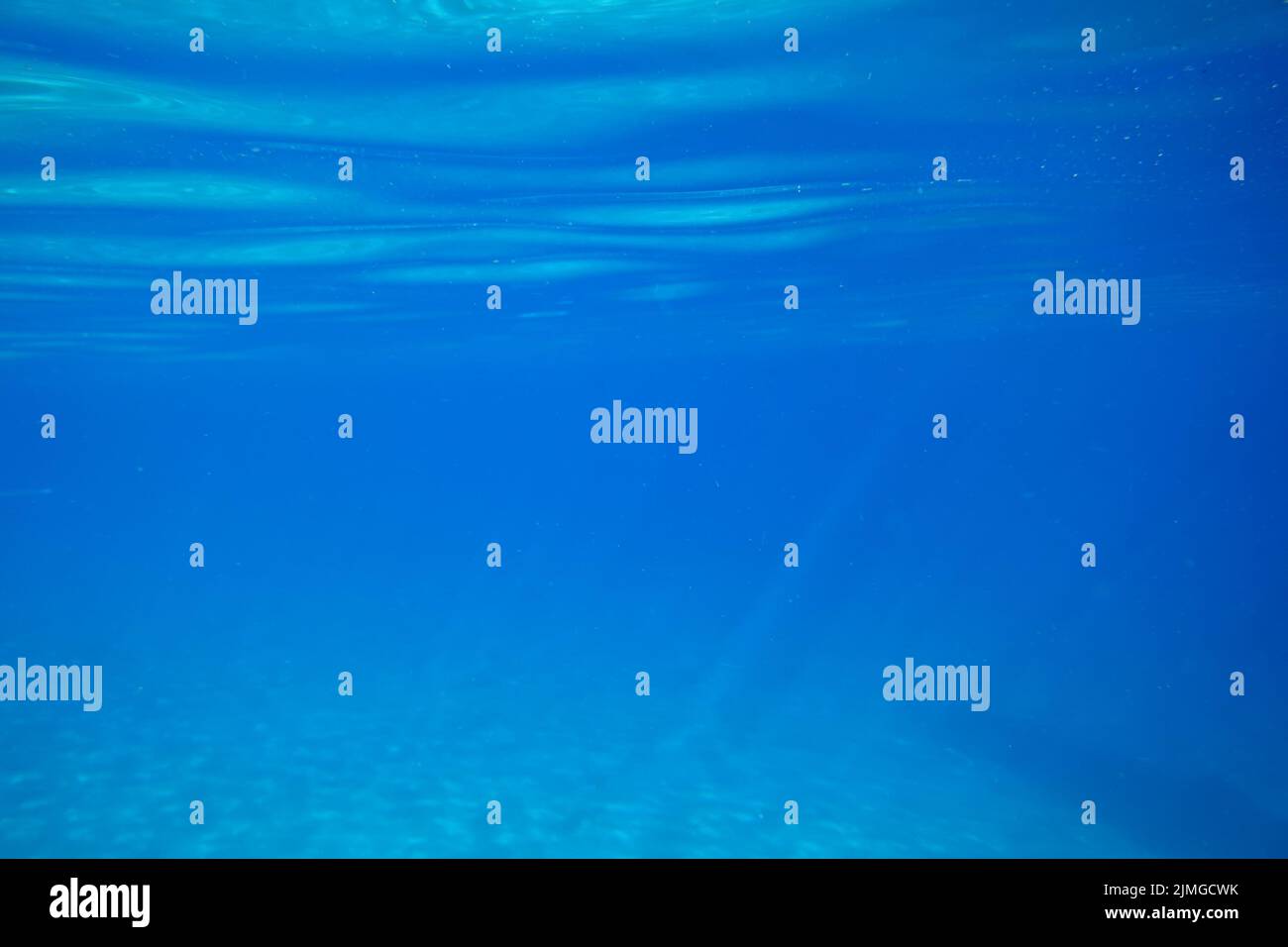 Underwater shallow sandy ocean floor hi-res stock photography and ...