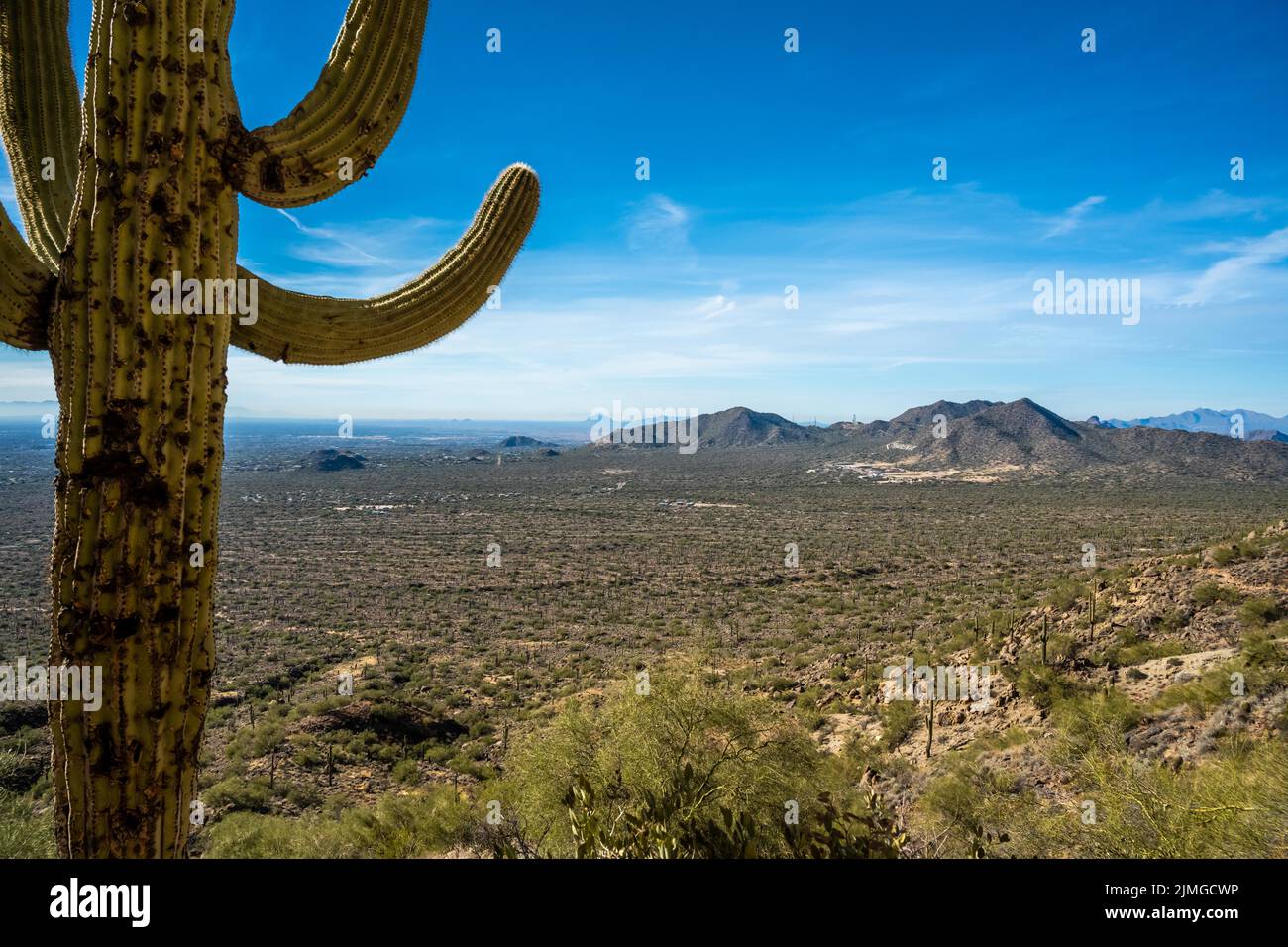 An overlooking view of nature in Mesa, Arizona Stock Photo - Alamy