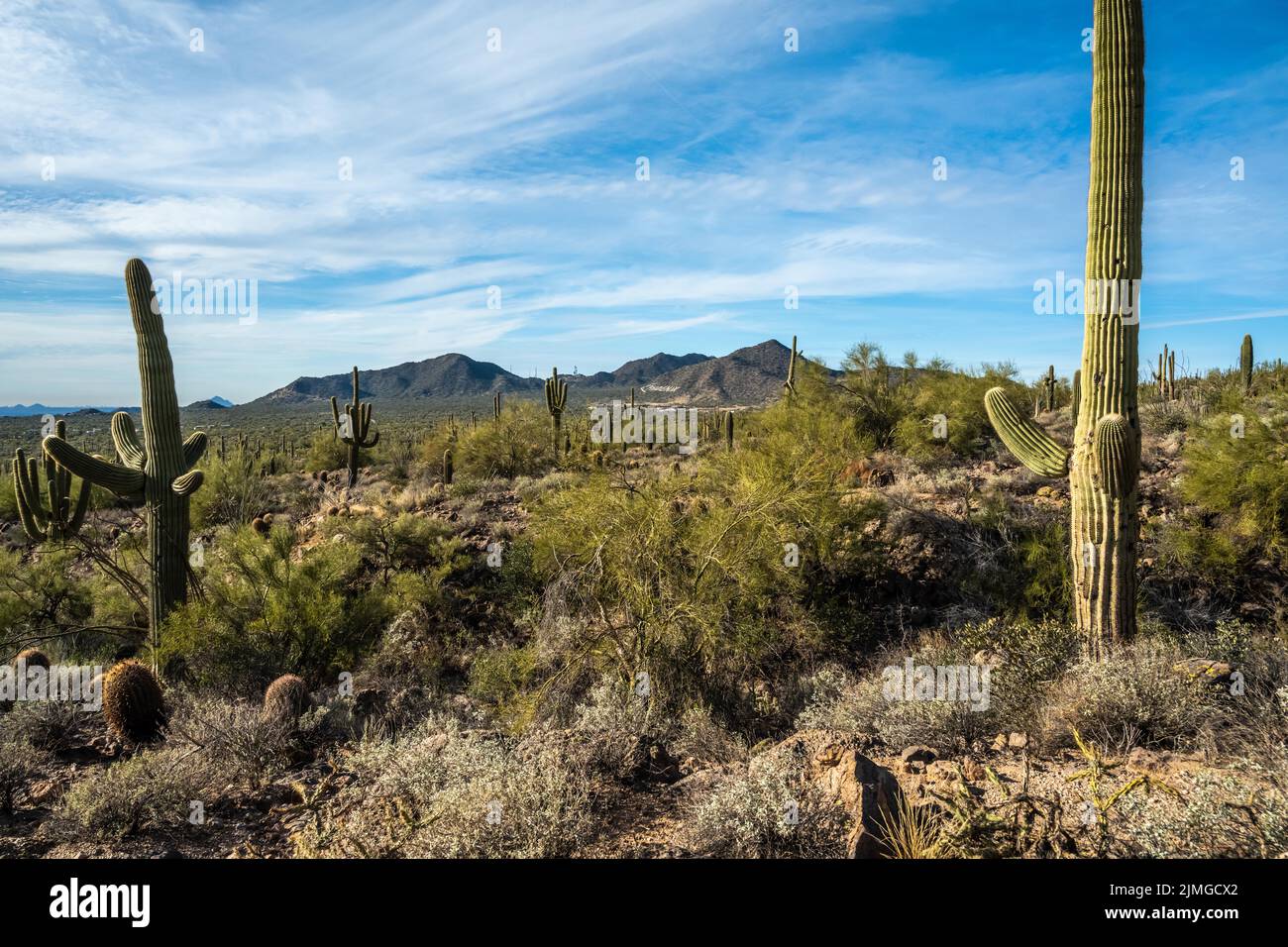 An overlooking view of nature in Mesa, Arizona Stock Photo - Alamy