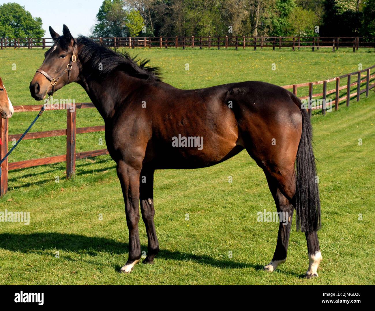 How to stand correctly hi-res stock photography and images - Alamy
