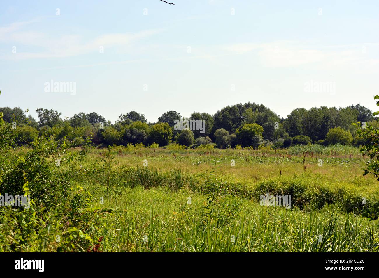 Beautiful fields, distant steppes, meadows with wild herbs, lush grass ...