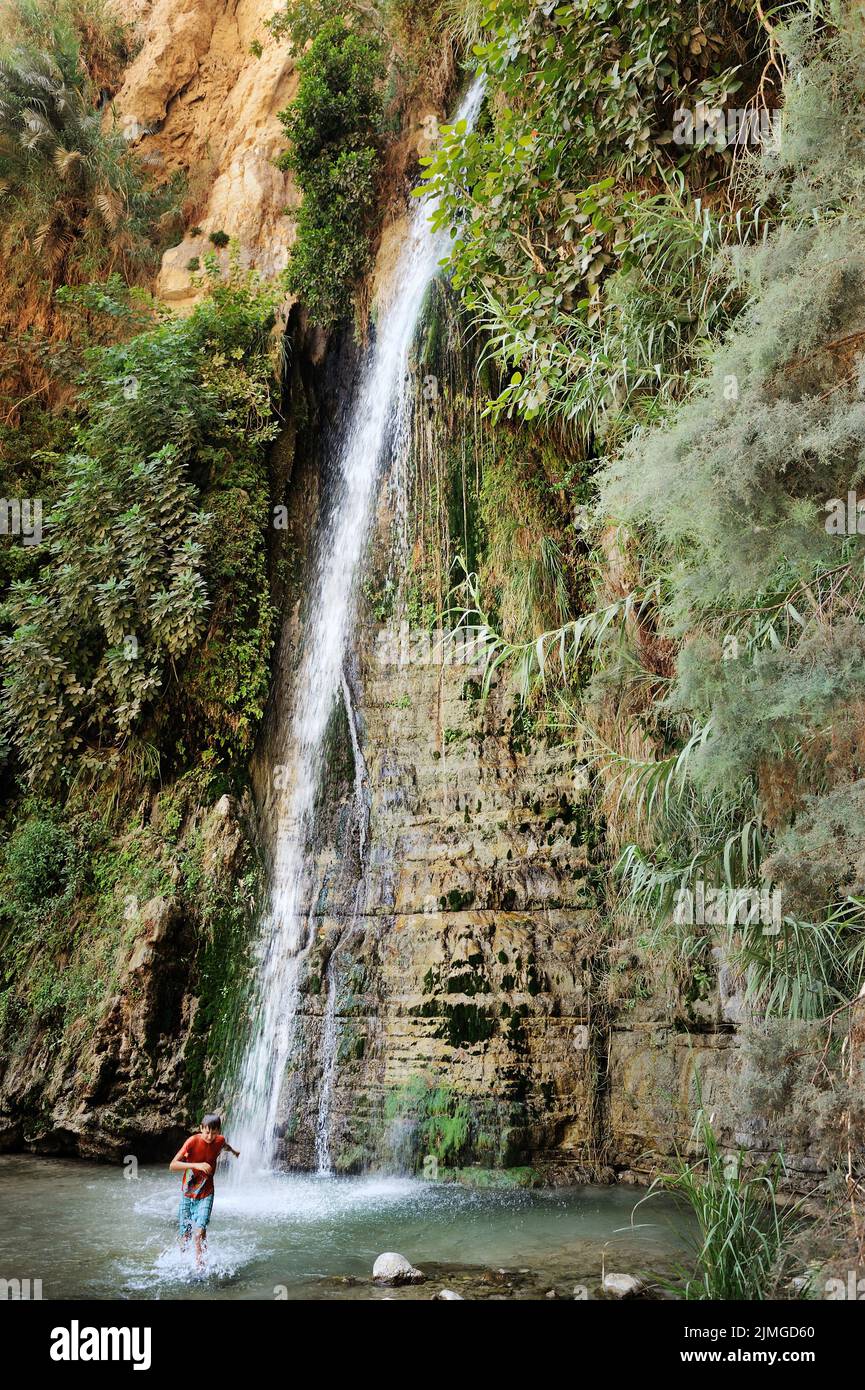 Streams and waterfalls Nature Reserve Ein Gedi Stock Photo - Alamy