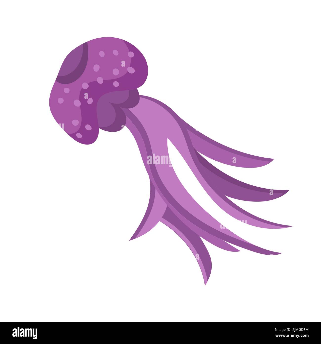 Jellyfish cartoon isolated medusa and biology jelly fish. Marine and water life animal vector ...