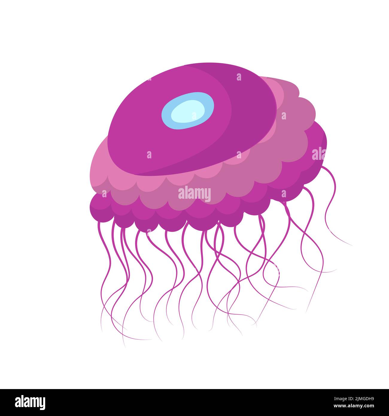 Jellyfish cartoon isolated medusa and biology jelly fish. Marine and water life animal vector ...