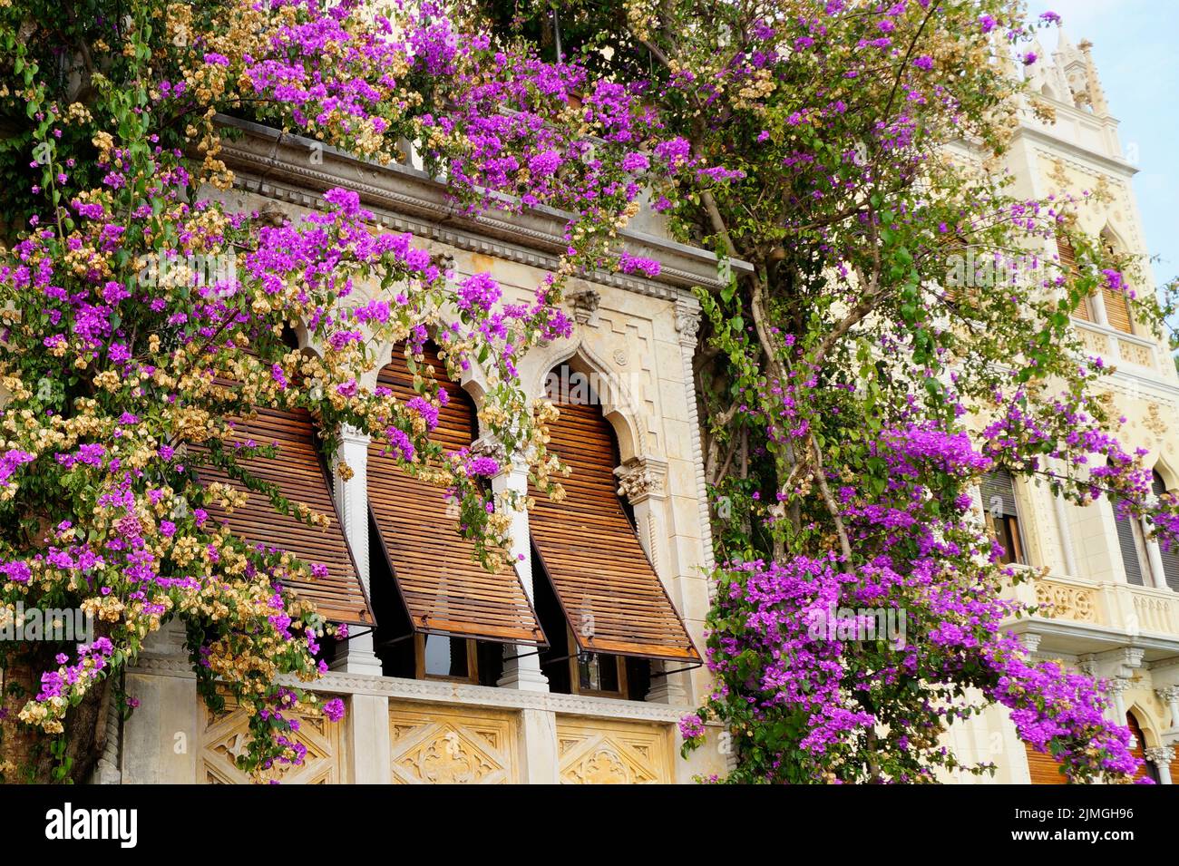 gorgeous ancient long mediterranean windows with wooden shutters and a ...
