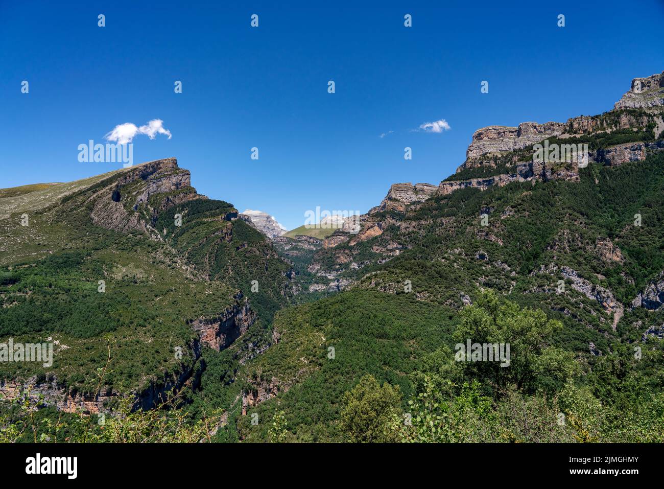 forested canyon and gorge in a mountain range, the Anisclo Canyon ...