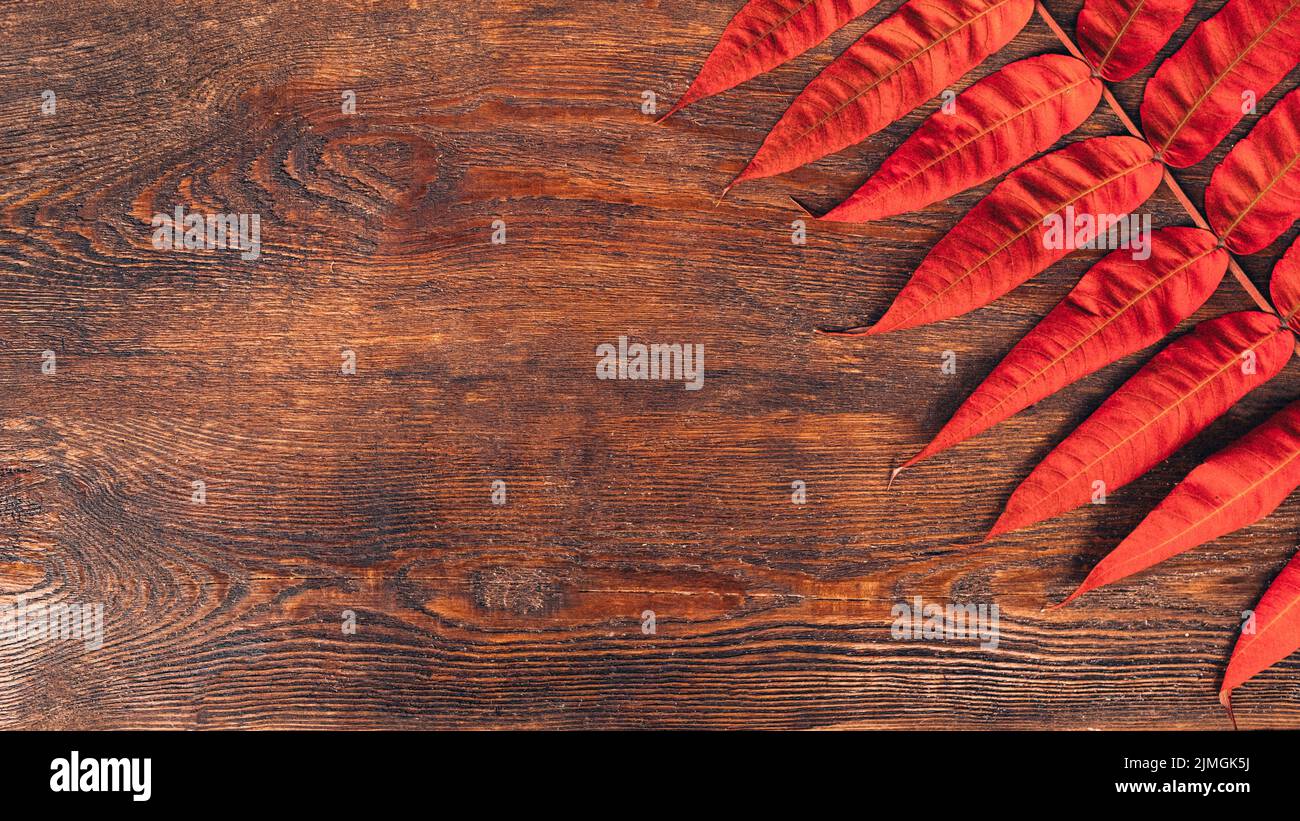 autumn foliage wooden background red fall leaves Stock Photo - Alamy