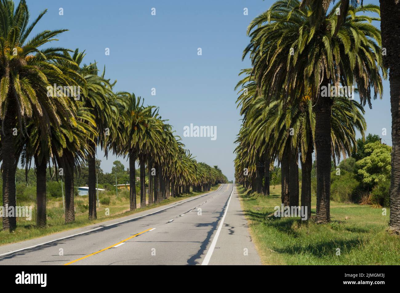 Palisades road hi-res stock photography and images - Alamy