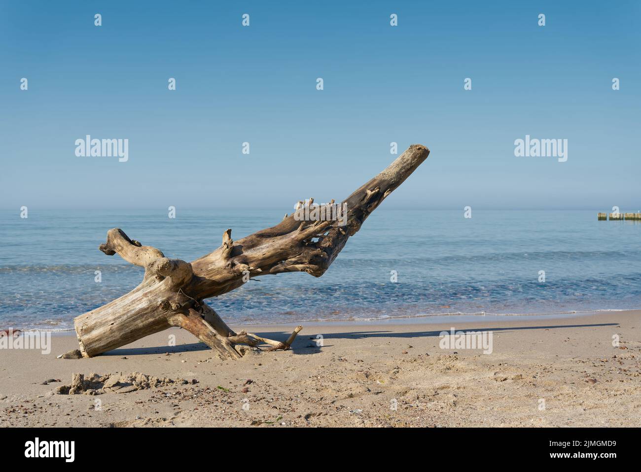 Trunk on the beach hi-res stock photography and images - Alamy