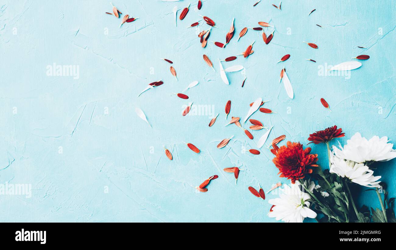 floral abstract background daisy flower petals Stock Photo - Alamy