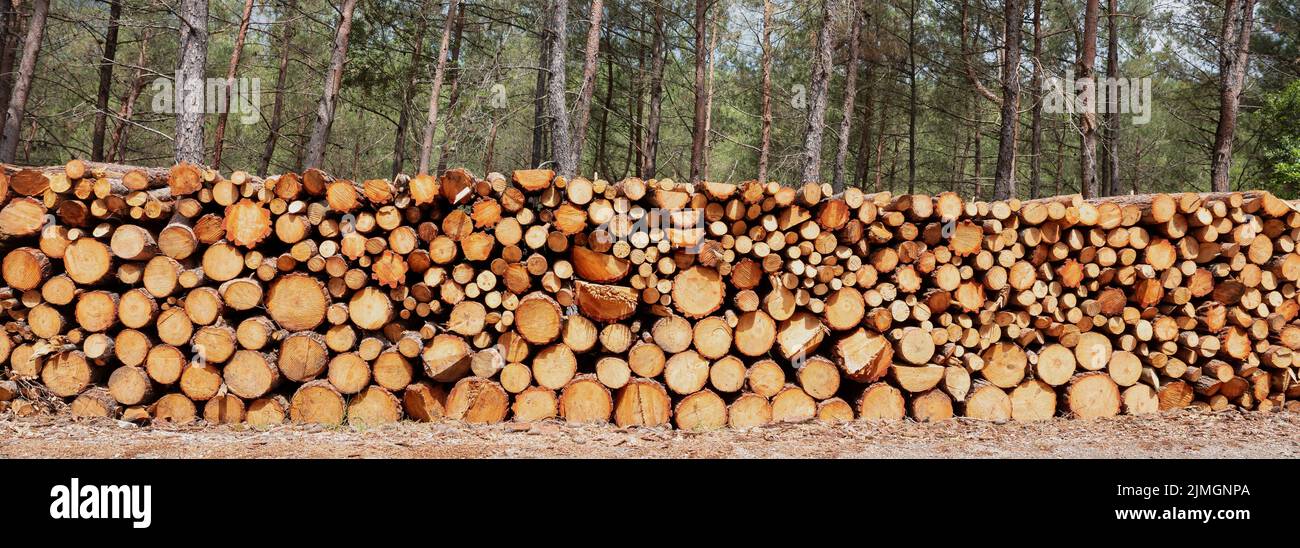 Wood logs pile, timber winter stock background texture. Firewood ...