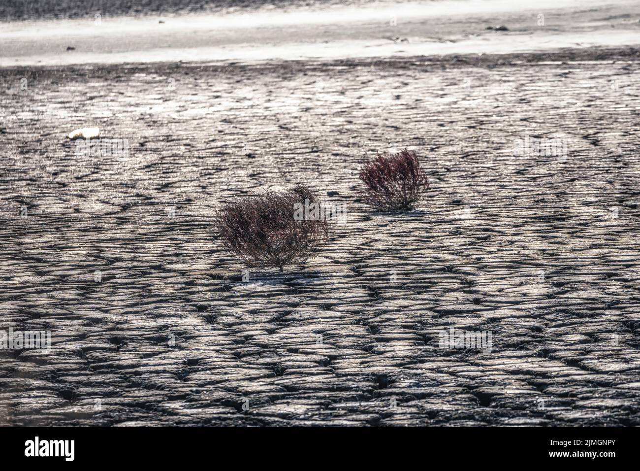 Tando island hi-res stock photography and images - Alamy