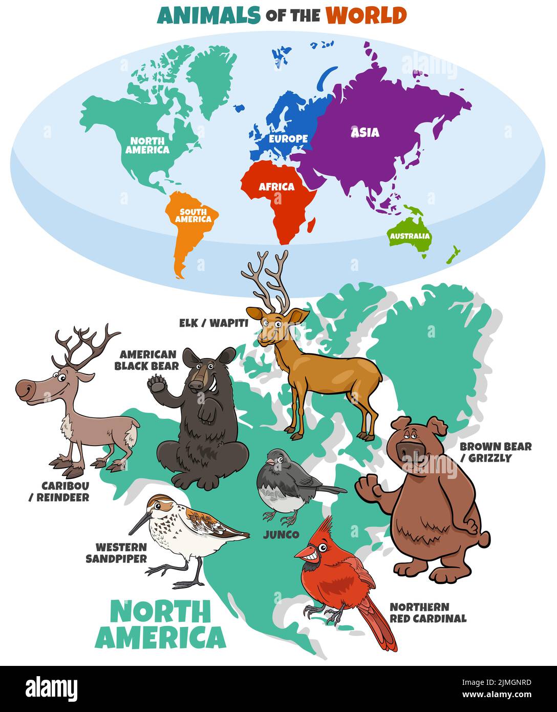 Educational illustration with cartoon North American animals Stock ...