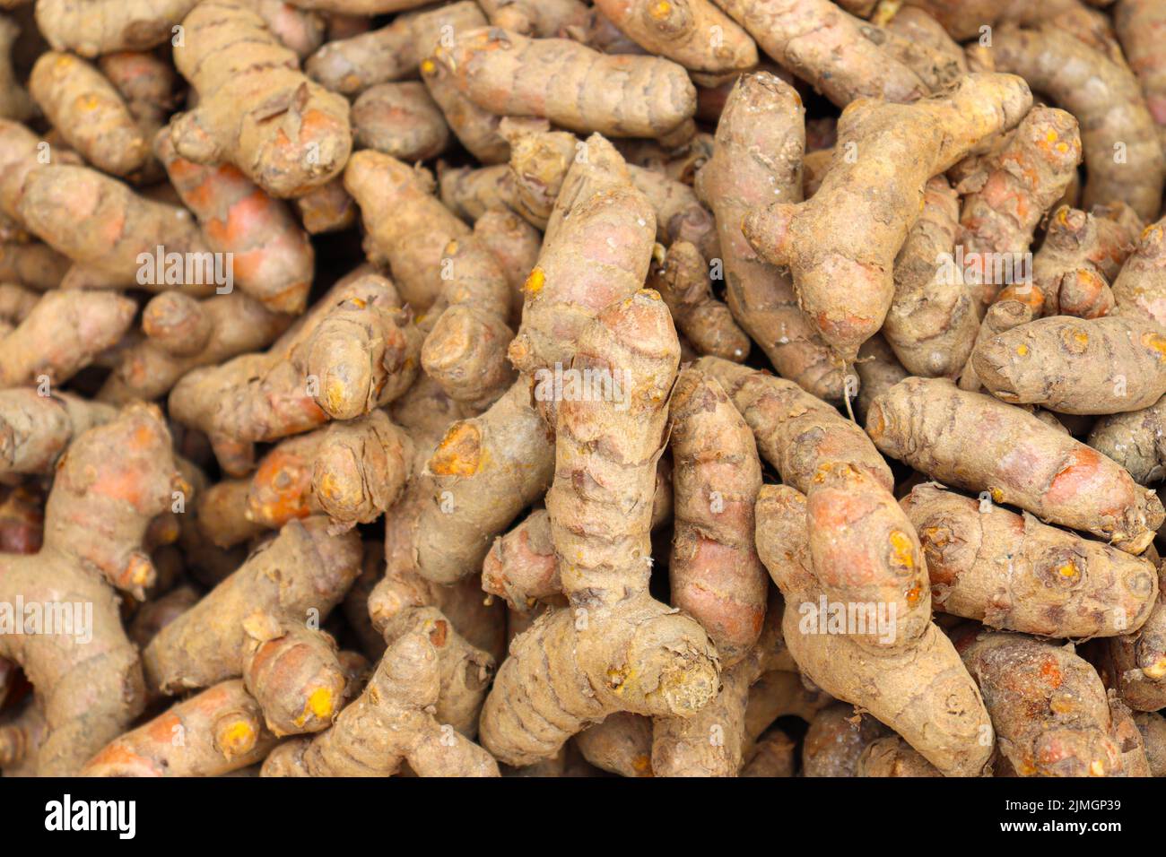 Dry turmeric stock leaf hi-res stock photography and images - Alamy