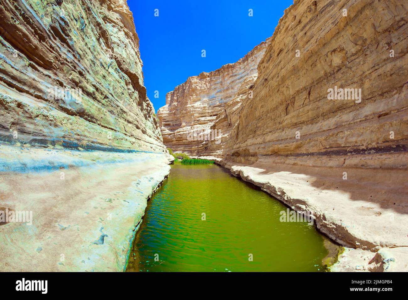 The Qing River in the Negev desert Stock Photo - Alamy