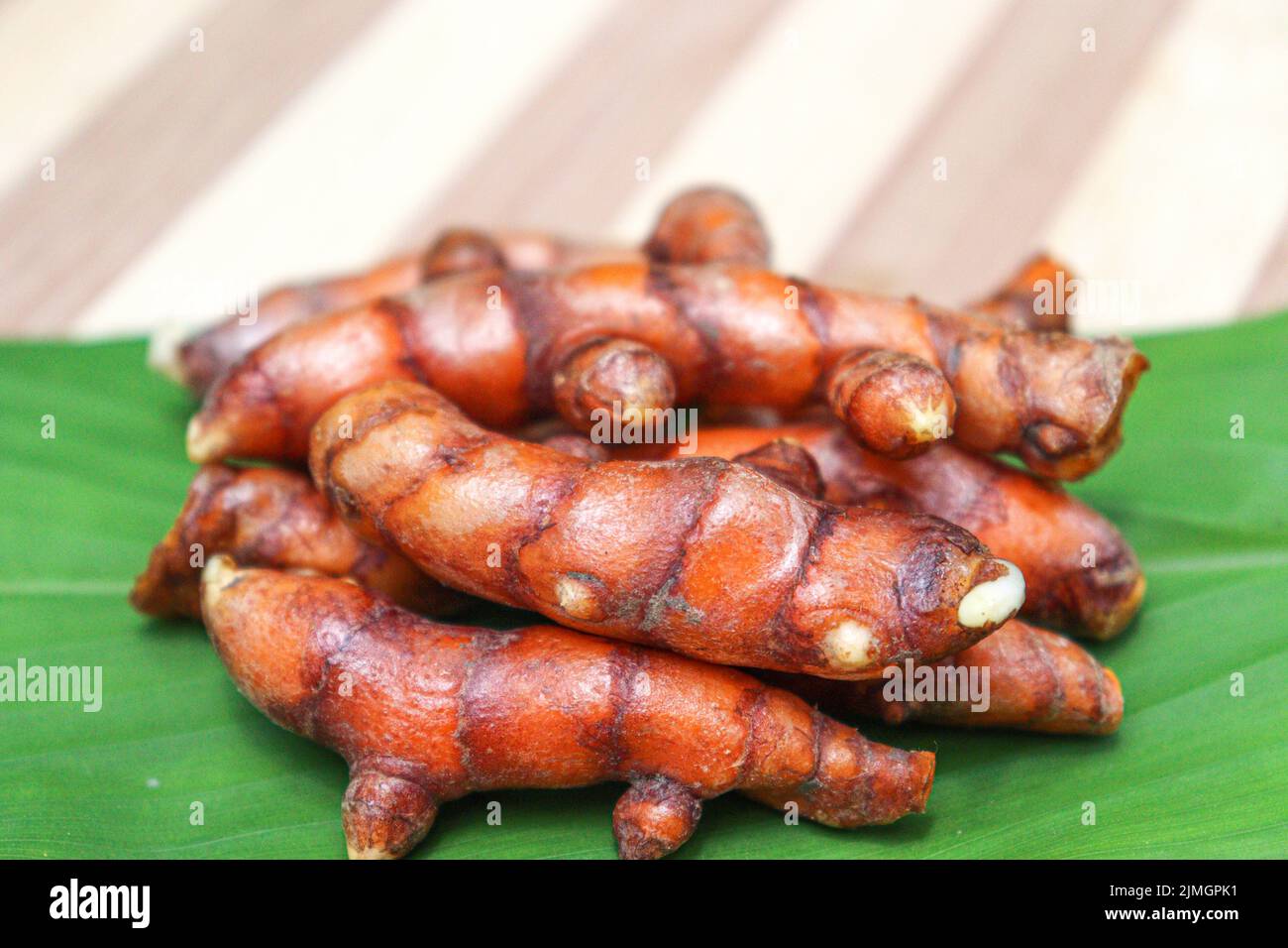 raw turmeric stock with leaf on farm for harvest Stock Photo - Alamy