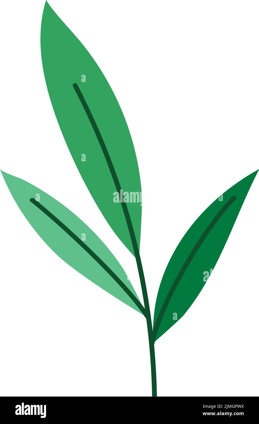 branch tree icon Stock Vector Image & Art - Alamy