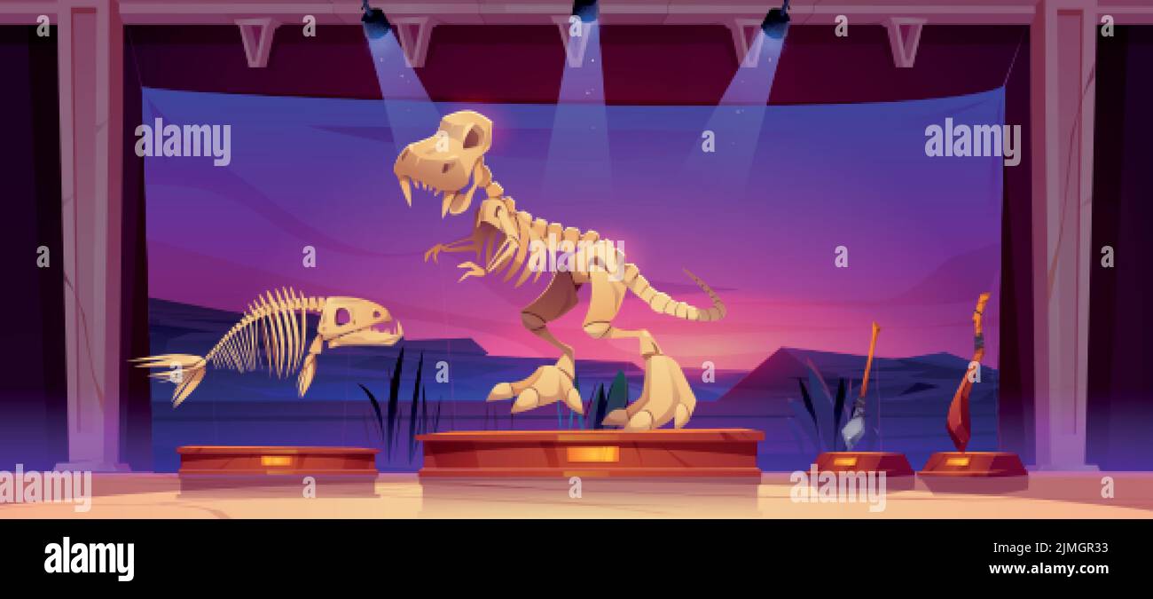 Historical museum with fossil dinosaur and fish skeletons, stone age ...