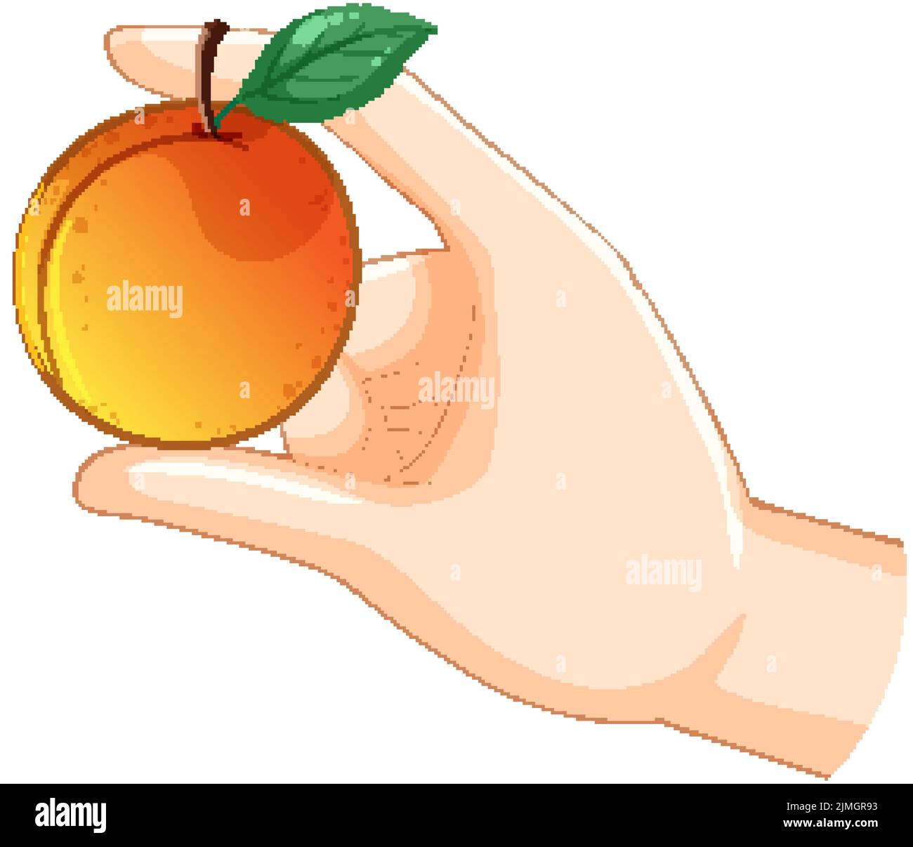 Hand holding a peach illustration Stock Vector Image & Art - Alamy