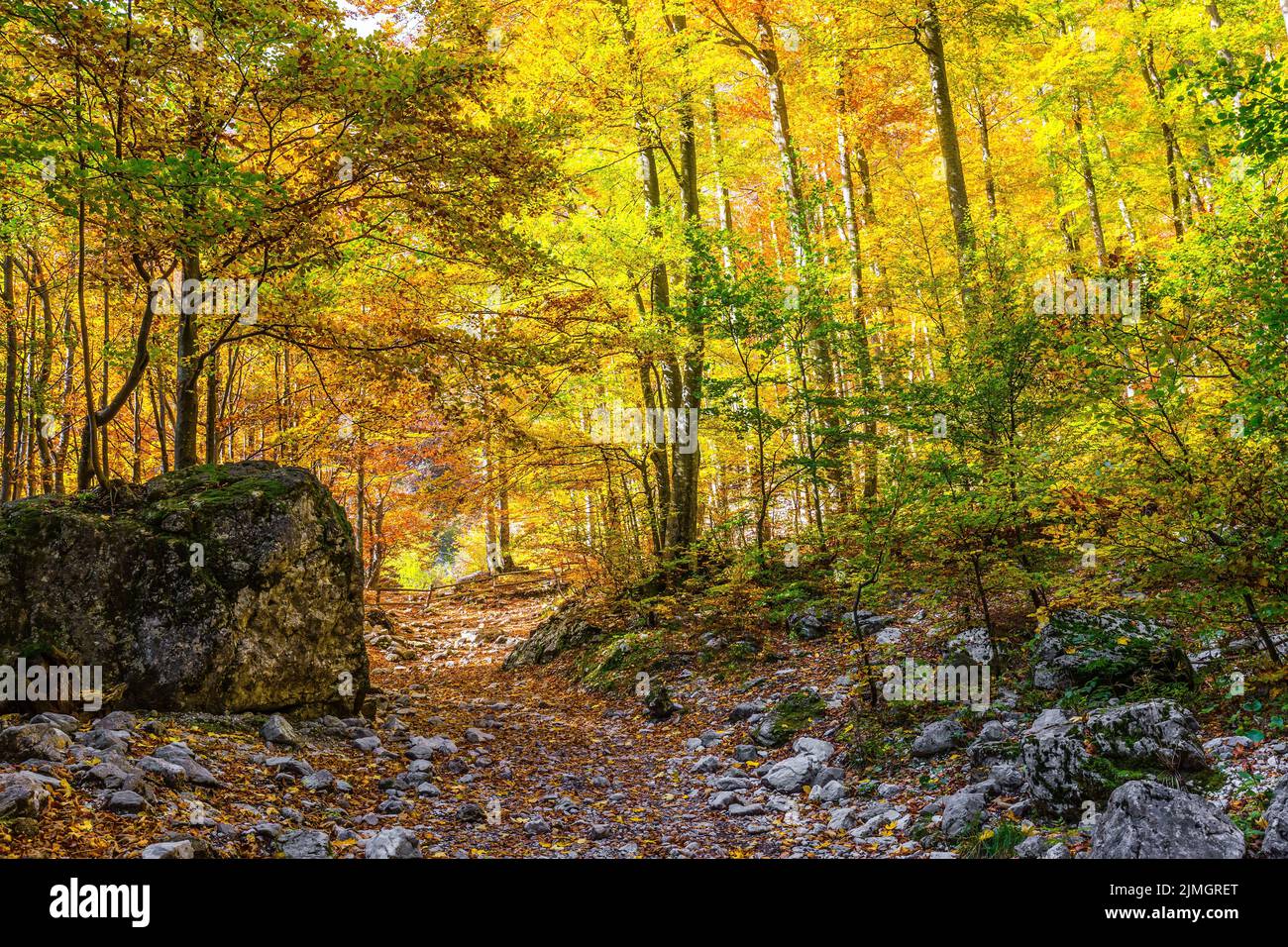Pedestrian dirt path Stock Photo - Alamy